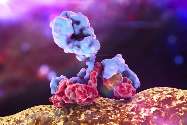 Chlamydia Pneumoniae | symptoms, types, diagnosis, treatment