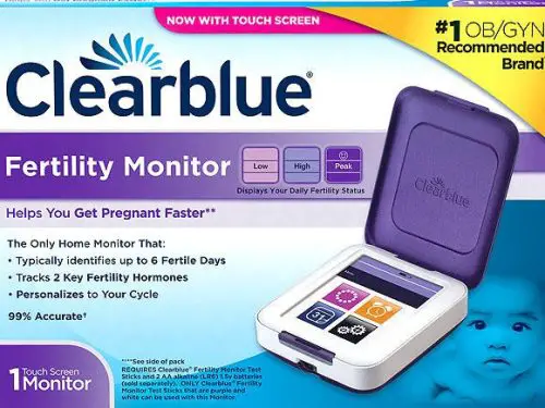 What Does Fertile Mean? | Time To View Deep Insights