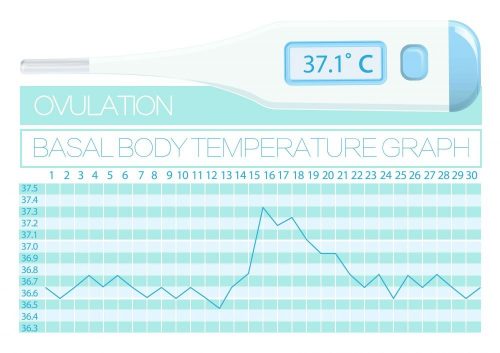 What Does Fertile Mean? | Time To View Deep Insights