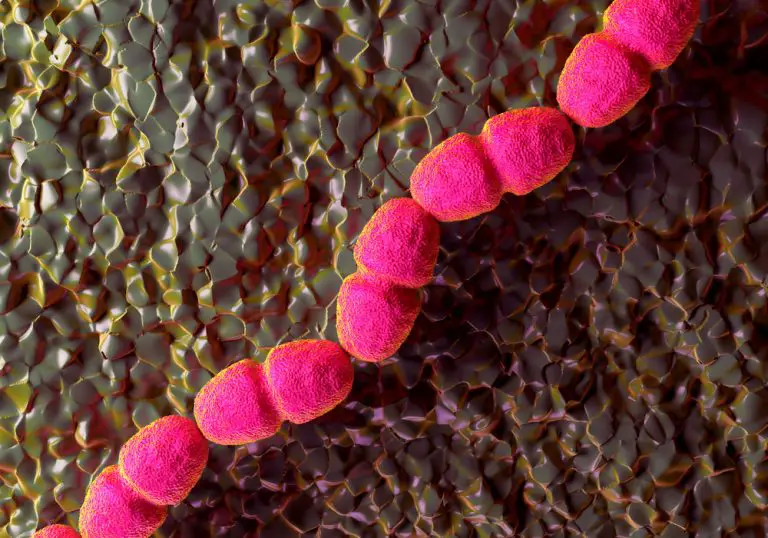 Bacterial Infections And Male Infertility | STD.GOV Blog