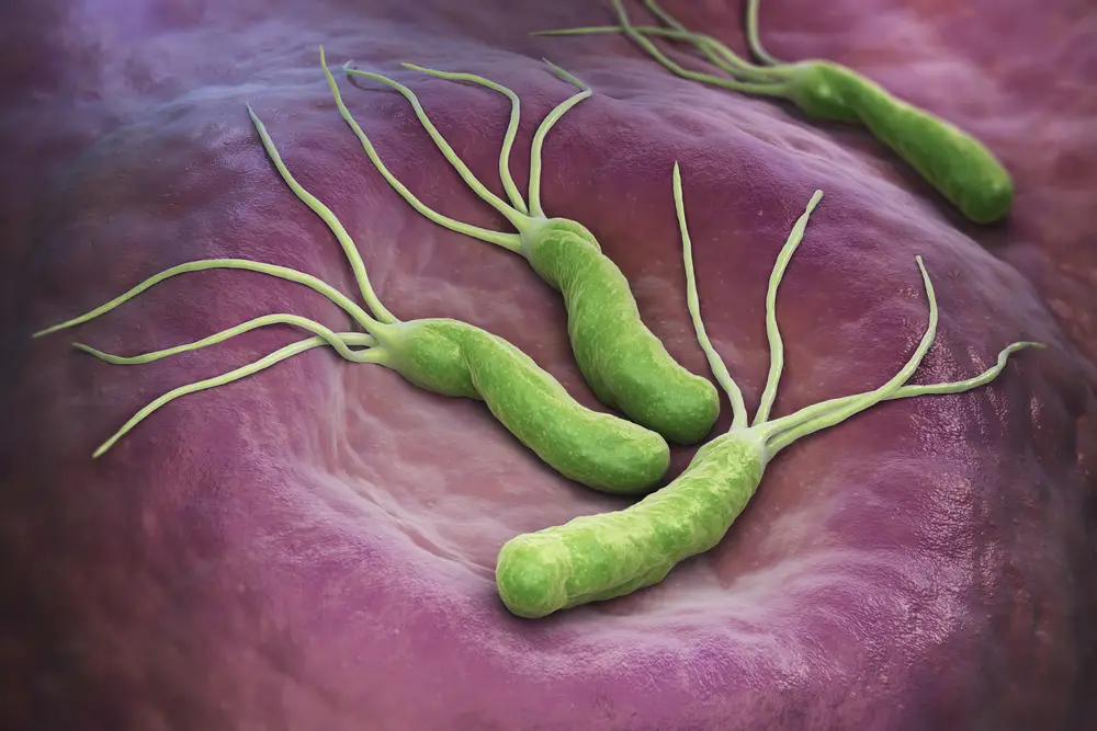 Helicobacter Pylori Transmission Test Diet STD GOV Blog