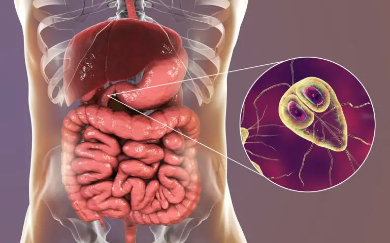 Bowel Infections: Types, Symptoms, Causes, Treatment | STD.GOV Blog