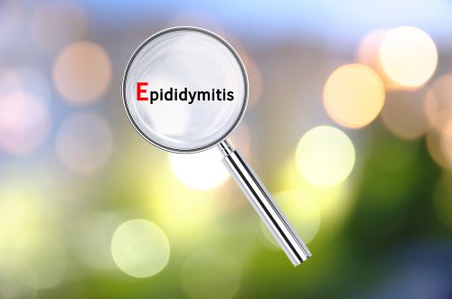 Chronic Epididymitis: Causes, Symptoms, Diagnosis, Treatment | STD.GOV Blog