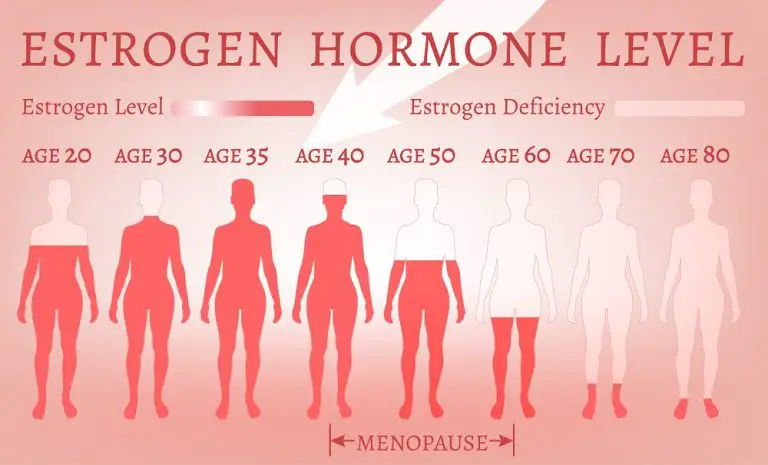 What Foods Are Good for Estrogen in Women? | STD.GOV Blog