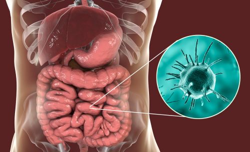List of Parasites of Humans | STD.GOV Blog