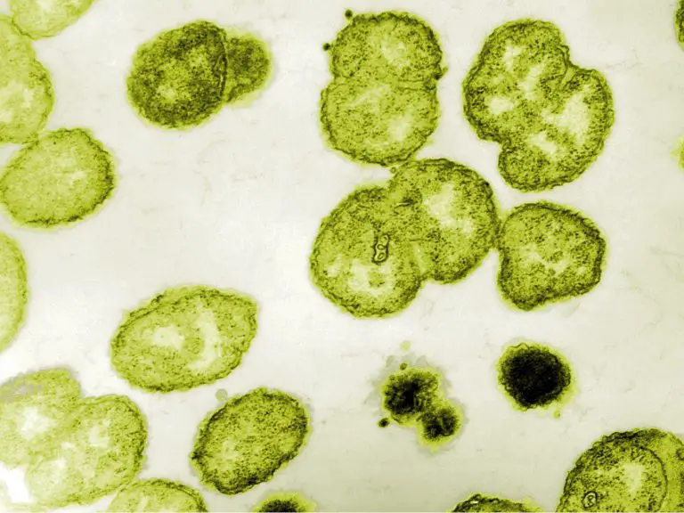 Top 5 Most Dangerous STDs and their Symptoms