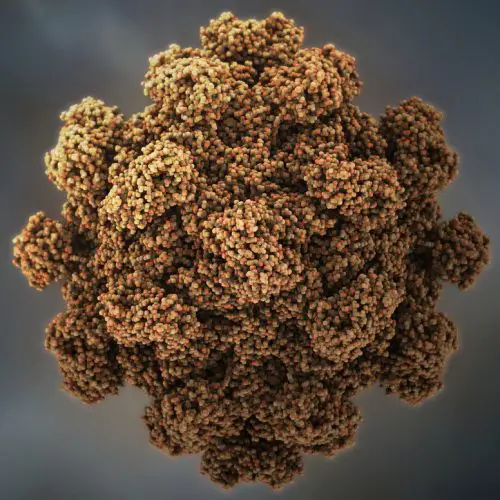 Top 5 Most Dangerous STDs and their Symptoms