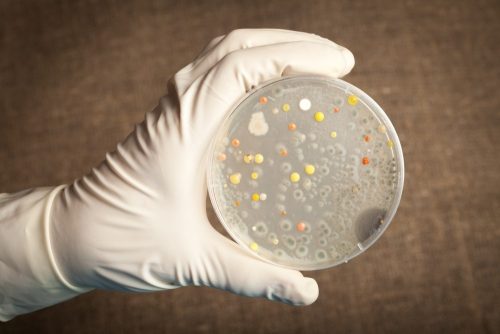Bacterial Diseases | 12 common diseases that are caused by Bacteria