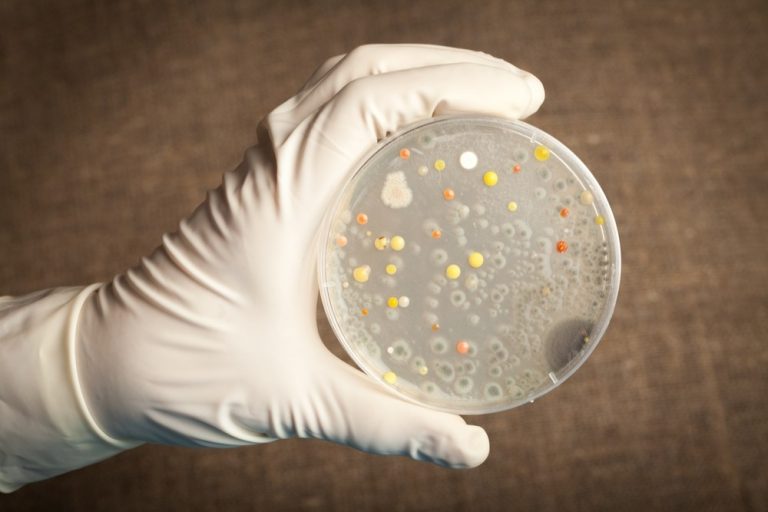 Bacterial Diseases | 12 common diseases that are caused by Bacteria