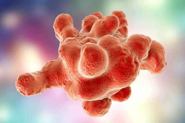 Bacterial Diseases | 12 common diseases that are caused by Bacteria