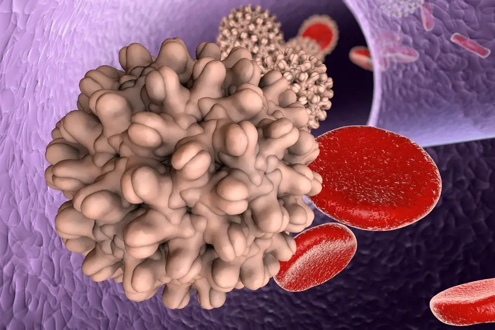 Hepatitis B Symptoms Treatment Causes What Is Hepatitis B Hepatitis B Symptoms Treatment Causes What Is Hepatitis B