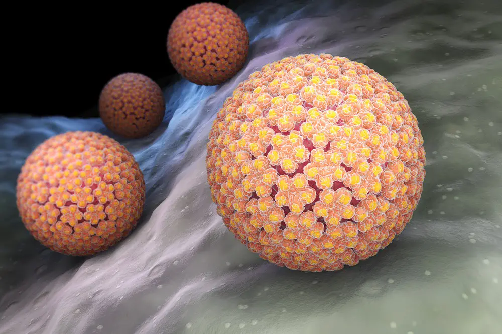 Hpv Symptoms Treatment Vaccine Hpv In Men And Women