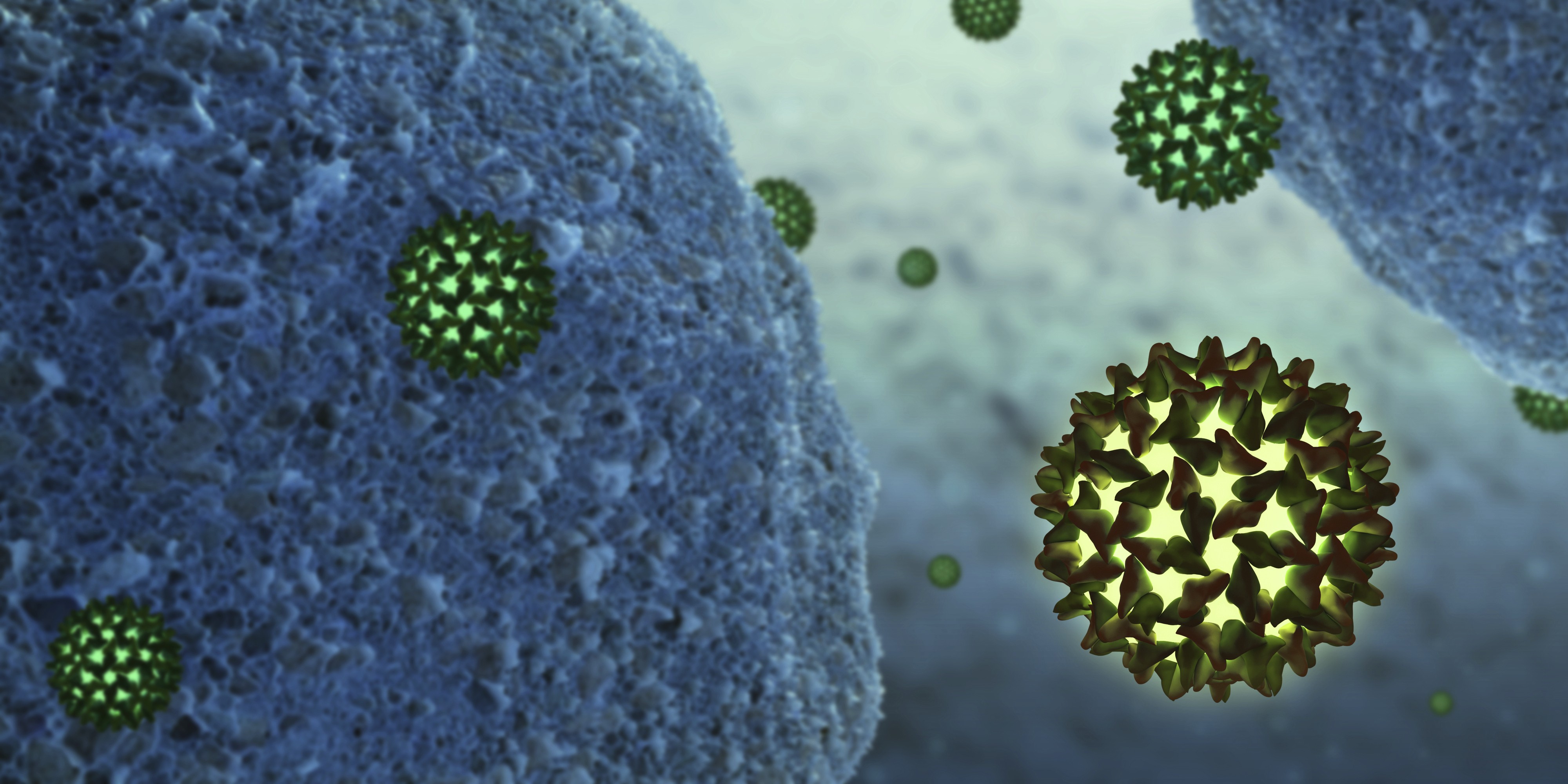 Virus Bacteria Illustration Virus Bacteria Illustration