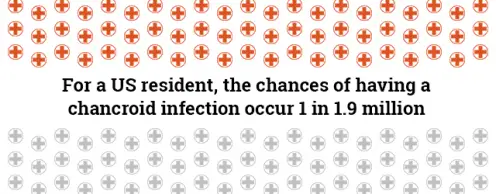 Chancroid Causes, Symptoms, Treatment, Pictures | STD Chancroid