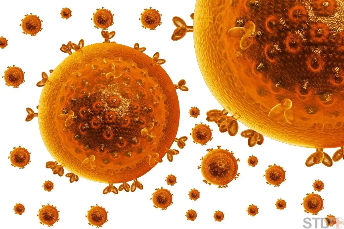 HIV & AIDS Symptoms, Treatment, Testing | STD HIV / AIDS HIV & AIDS Symptoms, Treatment, Testing | STD HIV / AIDS